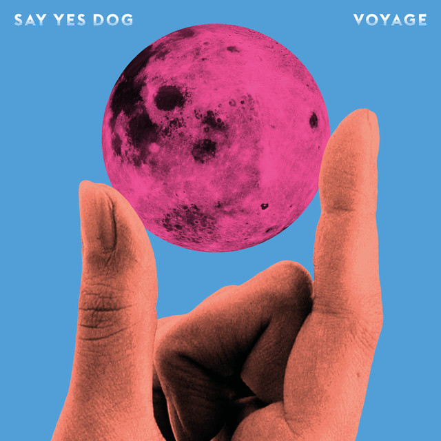 Say Yes Dog - Feel Better - plusfm