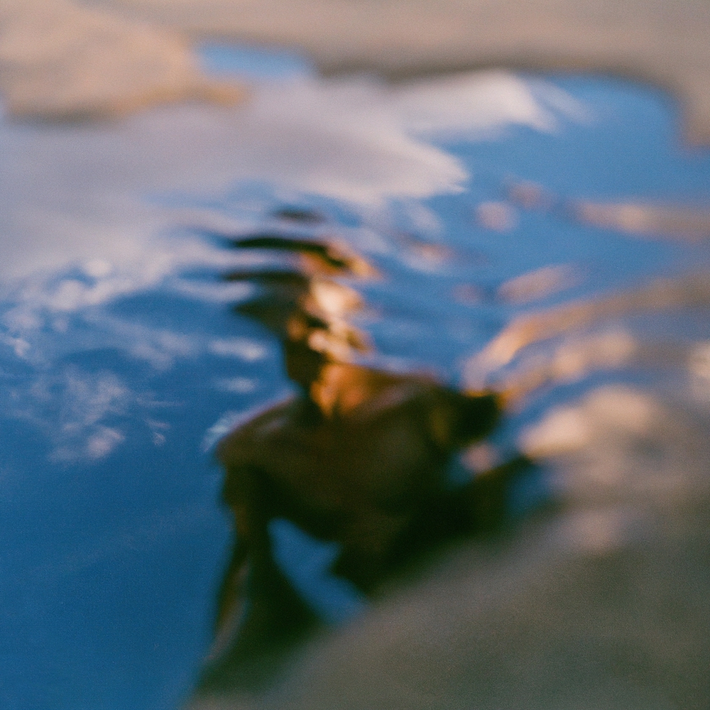 Fhin - Flat Head - plusfm